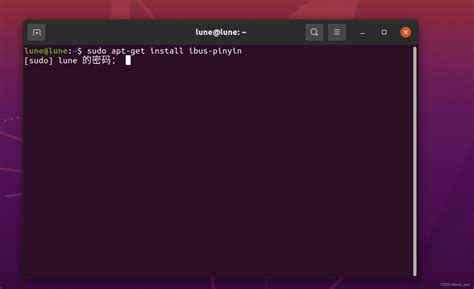 Ubuntu软件下关于linux系统一些基础配置问题（linux下输入汉字配置、linux下gcc安装遇到的一些问题） Zenglocalhost ~ Sudo Apt Get