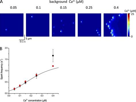 Calcium Sparks At Different Cytosolic Ca²⁺ A Typical Examples Of
