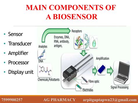 Ii Biosensor Principle Applications And Working Ii Ppt