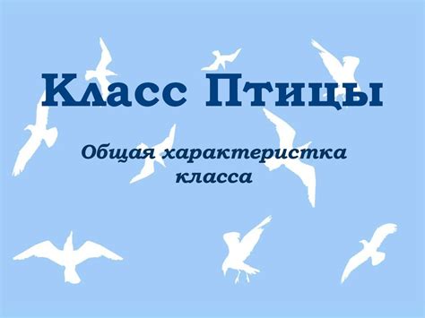Класс Птицы Общая характеристика класса Птицы презентация онлайн