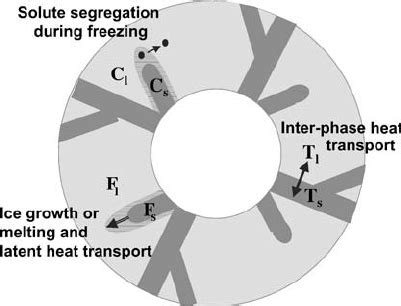 Processes Treated At The Subgrid Scale Subgrid Scale Processes Include