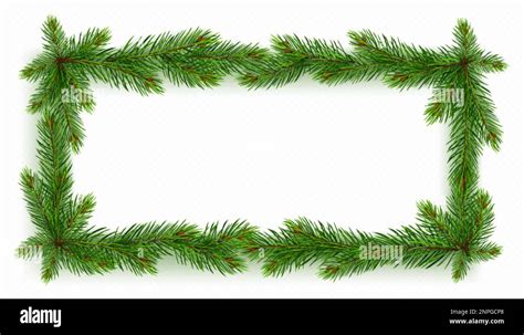 Pine Border