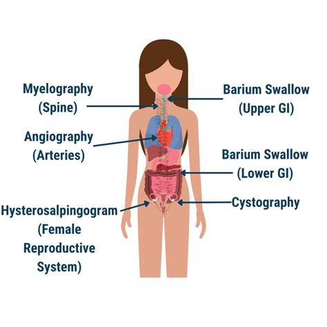 How Fluoroscopy Works Indications And Physics Of X Ray Fluoroscopy