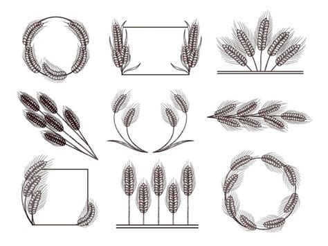 Wheat Border Frame Vector Art Icons And Graphics For Free Download