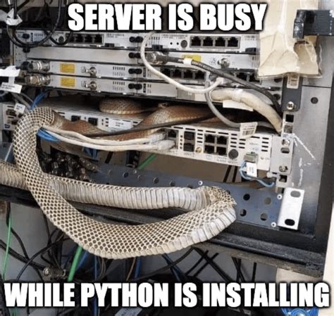 server busy python installing r programmerhumor