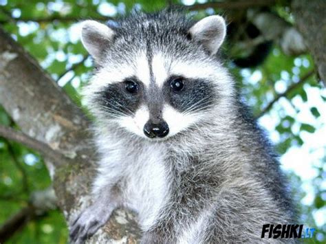 foto5 — Главная