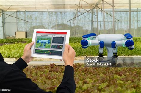 Iot 스마트 산업 로봇 40 농업 개념 산업 농업 경제 학자 소프트웨어 인공 지능 기술을 사용 하 여 상태를 모니터링 하는 태블릿에 농부와 농장에서 자동 로봇 제어 농업에