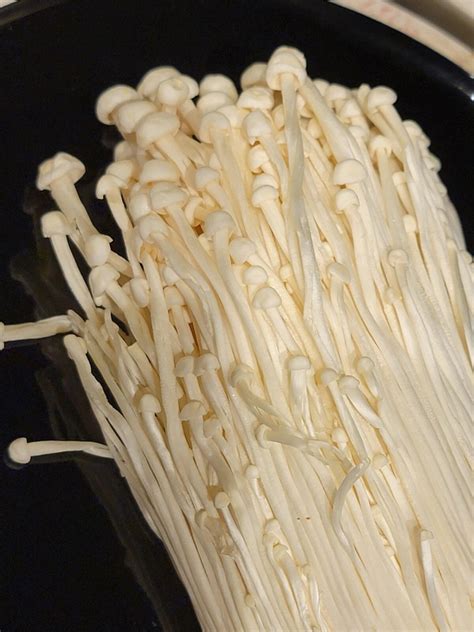 White Enoki Mushroom Liquid Culture Syringe 10 Ml Flammulina