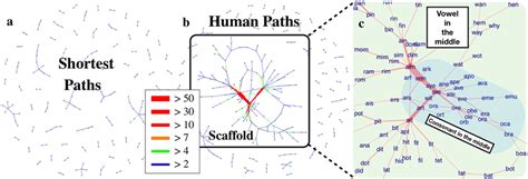 Structures Behind Human Paths And Shortest Paths Panel A Shows How Download Scientific