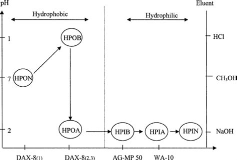 Fractionation Procedure 12 Download Scientific Diagram