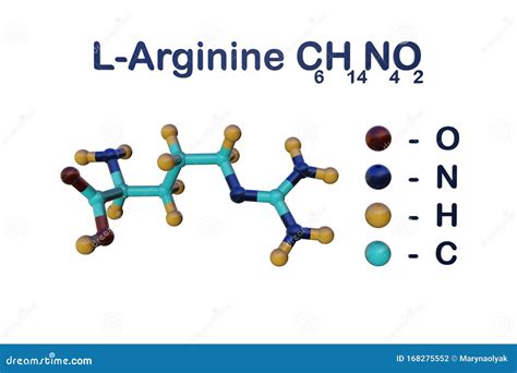 Structural Chemical Formula And Molecular Model Of L Arginine A