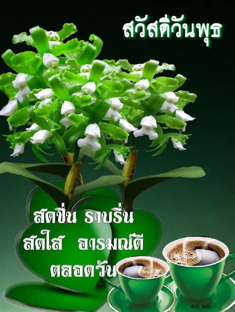 สวัสดีวันพุธ💚 In 2024 Good Morning
