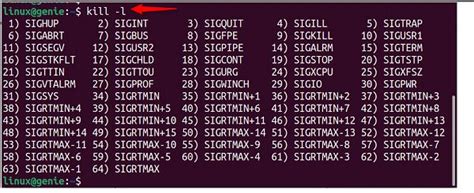 How Do I Kill Processes In Ubuntu Linux Genie