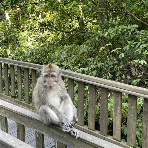 발리 맞춤투어 발리 맞춤 차량 투어 동부 남부 우붓 마이리얼트립
