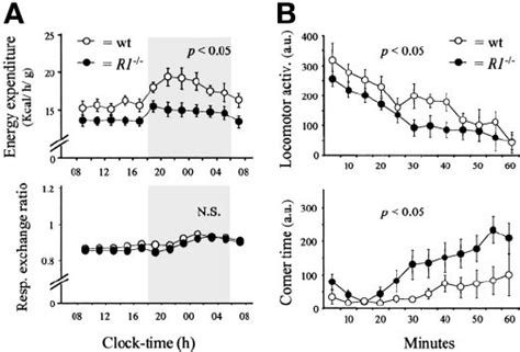 Energy Expenditure And Spontaneous Locomotor Activity Of Adipor1 Download Scientific Diagram