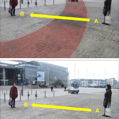 Photographs Showing The Interaction Of Pedestrians With The Arts In Download Scientific Diagram