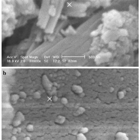 SEM Images Of Nano Structures A Complex 3 Was Prepared By Download Scientific Diagram