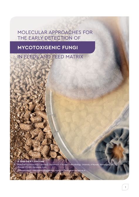 Pdf Molecular Approaches For The Early Detection Of Mycotoxigenic