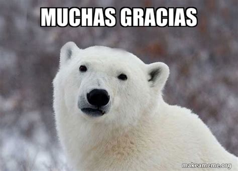 Muchas Gracias Popular Opinion Polar Bear Meme Generator