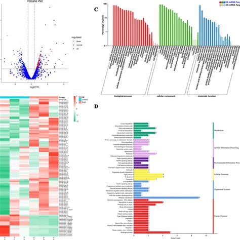 Differential Expression Of Exosomal Mirna Profiles A Differential