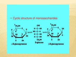 Structure Of Monosaccharides PPTX