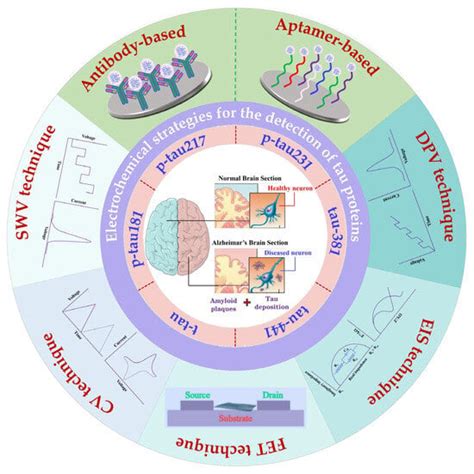 Electrochemical Technology For The Detection Of Tau Proteins As A Biomarker Of Alzheimers