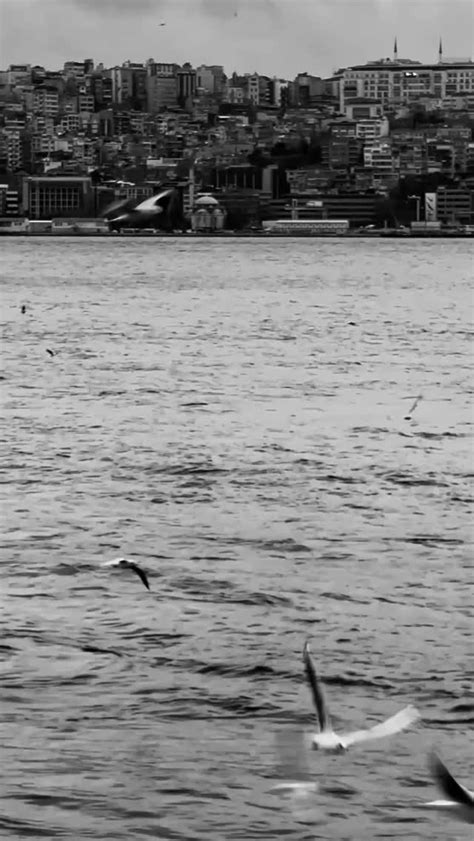 Syed Daniyal Qalbemomin78 • Instagram Photos And Videos