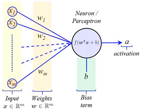 Illustration Of A Single Neuron Perceptron In A Standard Ann Each Download Scientific Diagram
