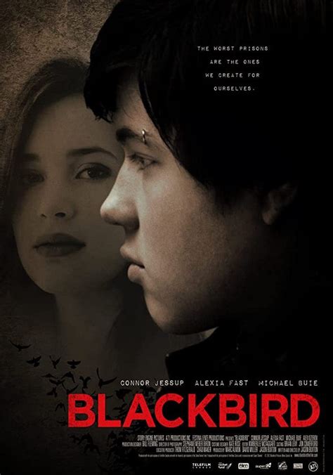 Blackbird Streaming Where To Watch Movie Online