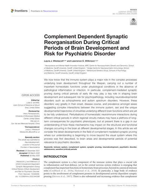 Pdf Complement Dependent Synaptic Reorganisation During Critical Periods Of Brain Development
