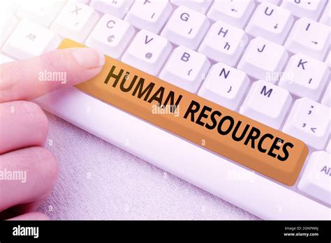 Writing Displaying Text Human Resources Internet Concept The Showing Who Make Up The Workforce