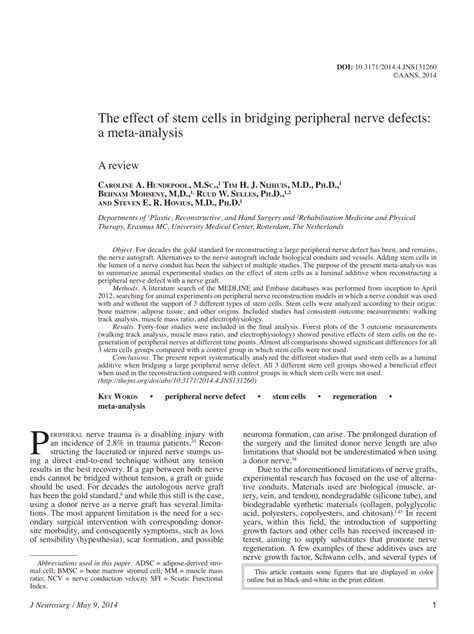 Pdf The Effect Of Stem Cells In Bridging Peripheral Nerve Defects A