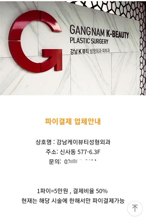 모바일 채굴 코인 강남 K뷰티 성형외과 파이코인 50 결제 도입 커뮤니티 마이호주