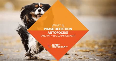 What Is Phase Detection Autofocus And Why It S So Important