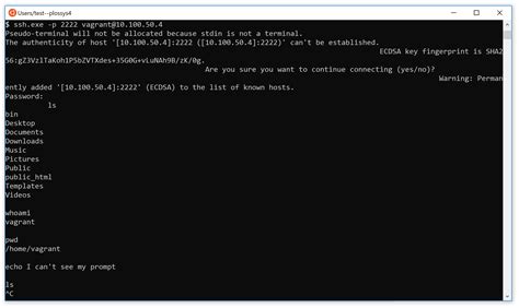 Using Sshexe From Wsl Does Not Work Properly · Issue 990 · Powershellwin32 Openssh · Github