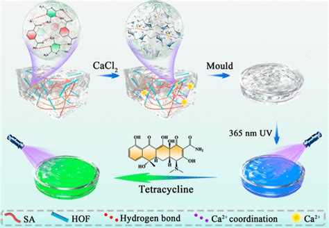 In Situ Fabrication Of Photoluminescent Hydrogen Bonded Organic Framework Functionalized Ca Ii