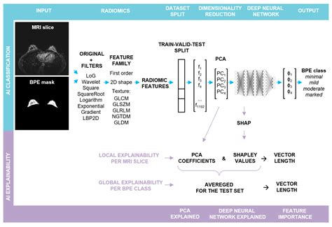 Explainable Precision Medicine In Breast Mri A Combined Radiomics And
