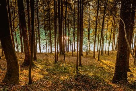 Semi Supervised Learning With Label Propagation