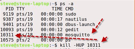 Quick Guide To The Nf File With Examples