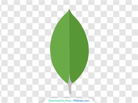 Mongodb Leaf Icon In Green Gradient High Quality Free Png Pngate