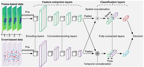 Figure 1 From Spatio Temporal Fusion Spiking Neural Network For Frame