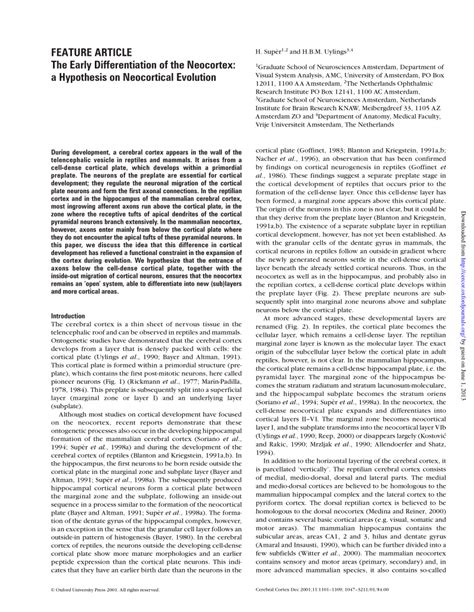 PDF The Early Differentiation Of The Neocortex A Hypothesis On Neocortical Evolution