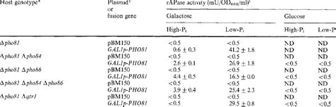 Effect Of Disruption Of Genes Involved In Pi Transport On Rapase Activity Download Table