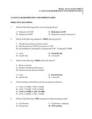 BIO Postlab EXPT Biology Post Lab Experiment KMNS BabeS NAME NUR ALYA BINTI
