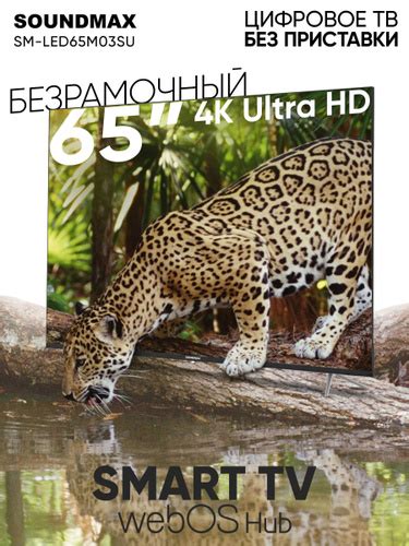 49 отзывов на Soundmax Телевизор Smart SM-LED65M03SU безрамочный 65" 4K ...