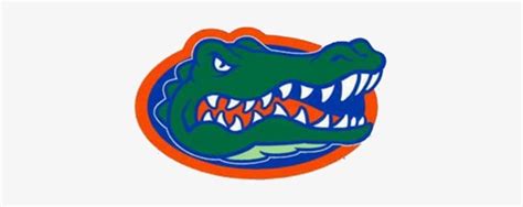 Unique Kentucky Wildcats Wallpaper Free Psd Detail Florida Gators Png