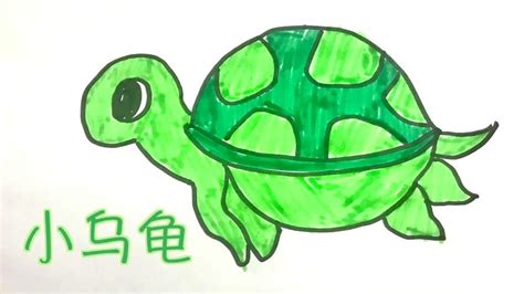 乌龟的简笔画简单漂亮图文（精选20张） 简笔画图片大全