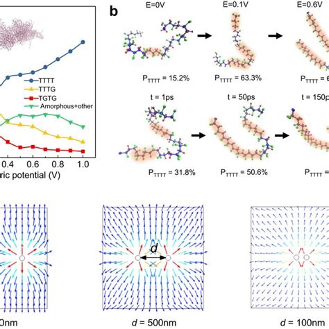Molecular Dynamic And Phase Field Simulations Of The Interfacial Polar Download Scientific