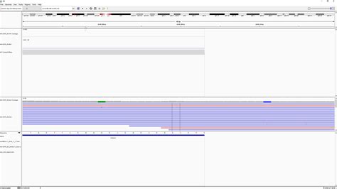 igv 2 9 0 tracks don t resize correctly · issue 901 · igvteam igv