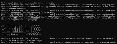 jvm 6 jvm调优工具详解及调优实战 jmap histo live csdn博客
